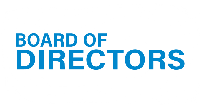 Board of Directors - ANSA MCAL 2021 Annual Report