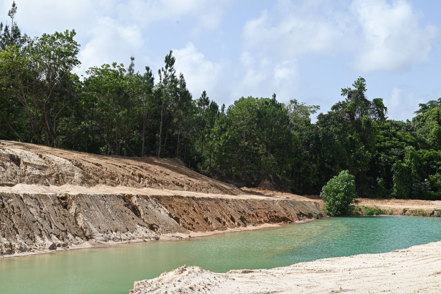 Matura Quarry Reforestation: ANSA Packaging’s Commitment to ...